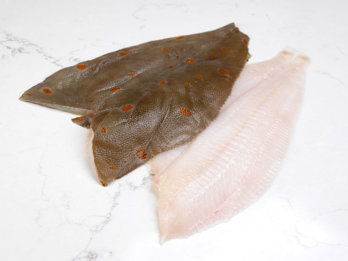 2 x 170-200g Scottish Plaice Fillets – Caught & Delivered