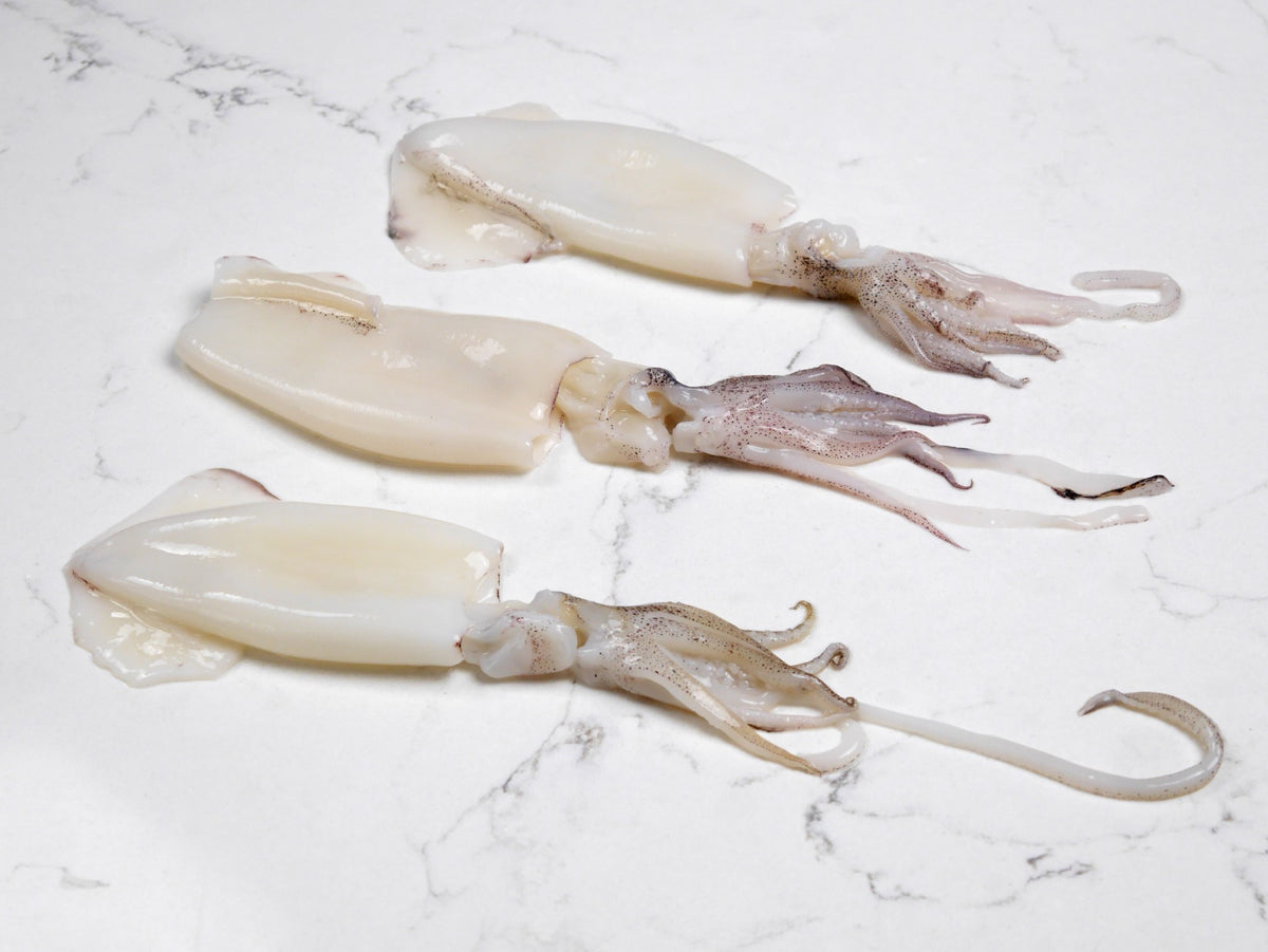 Baby Squid, Raw 700g – Caught & Delivered