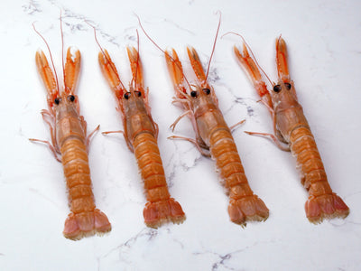 Caught & Delivered - Buy Fish & Seafood Online