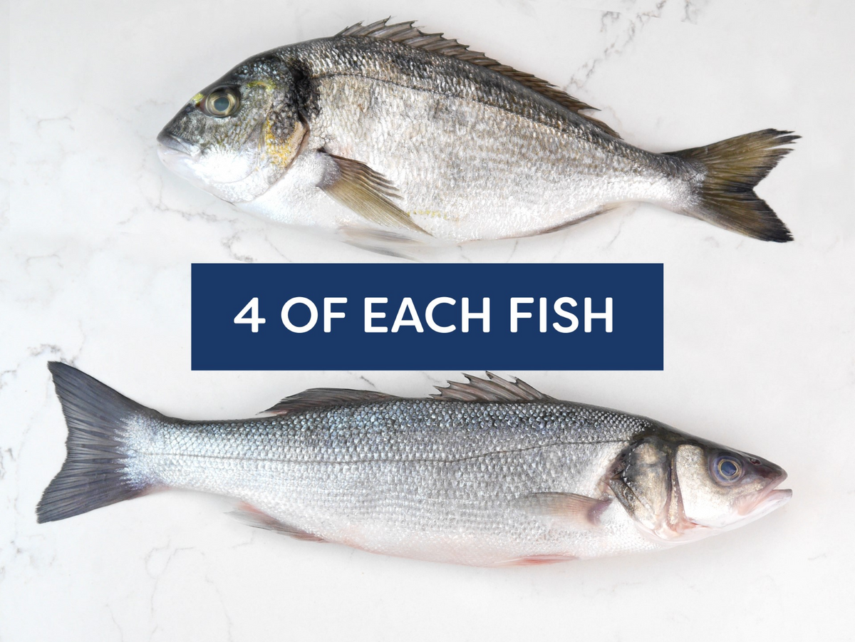 Whole Fish Box, 8 Fish – Caught & Delivered